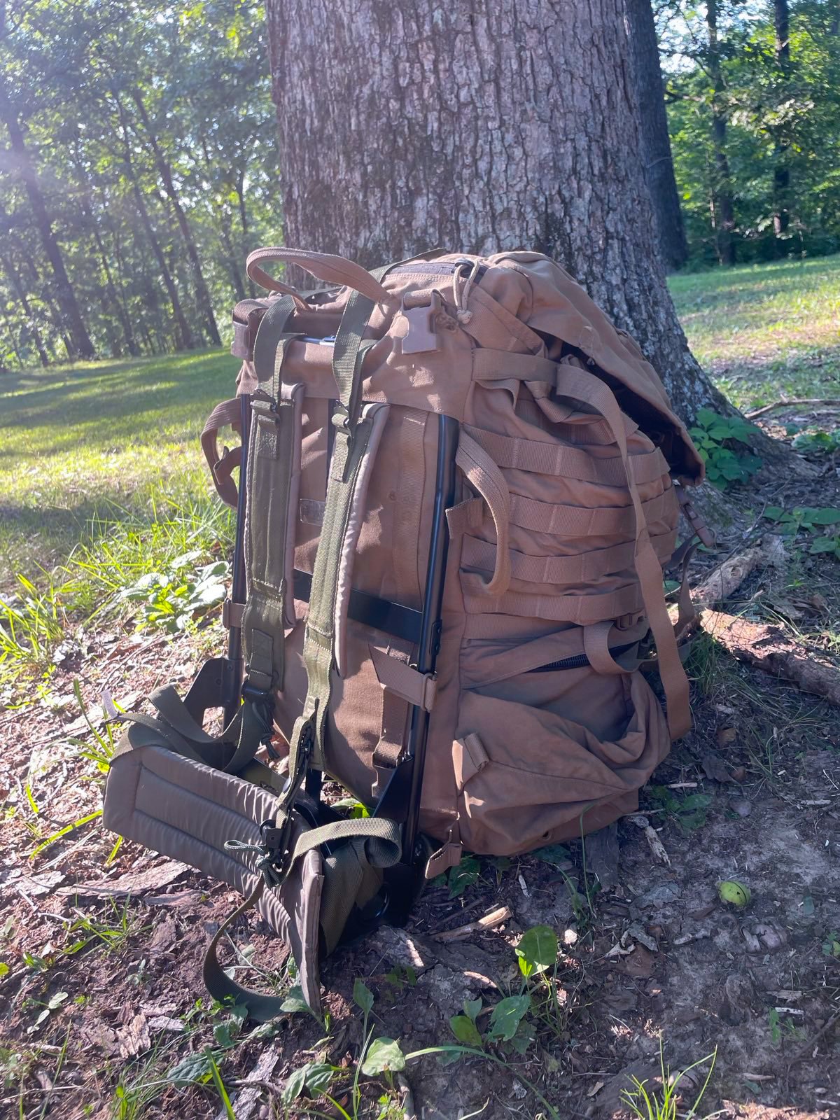 Alice Frankenstein - Grey Squirrel Solutions