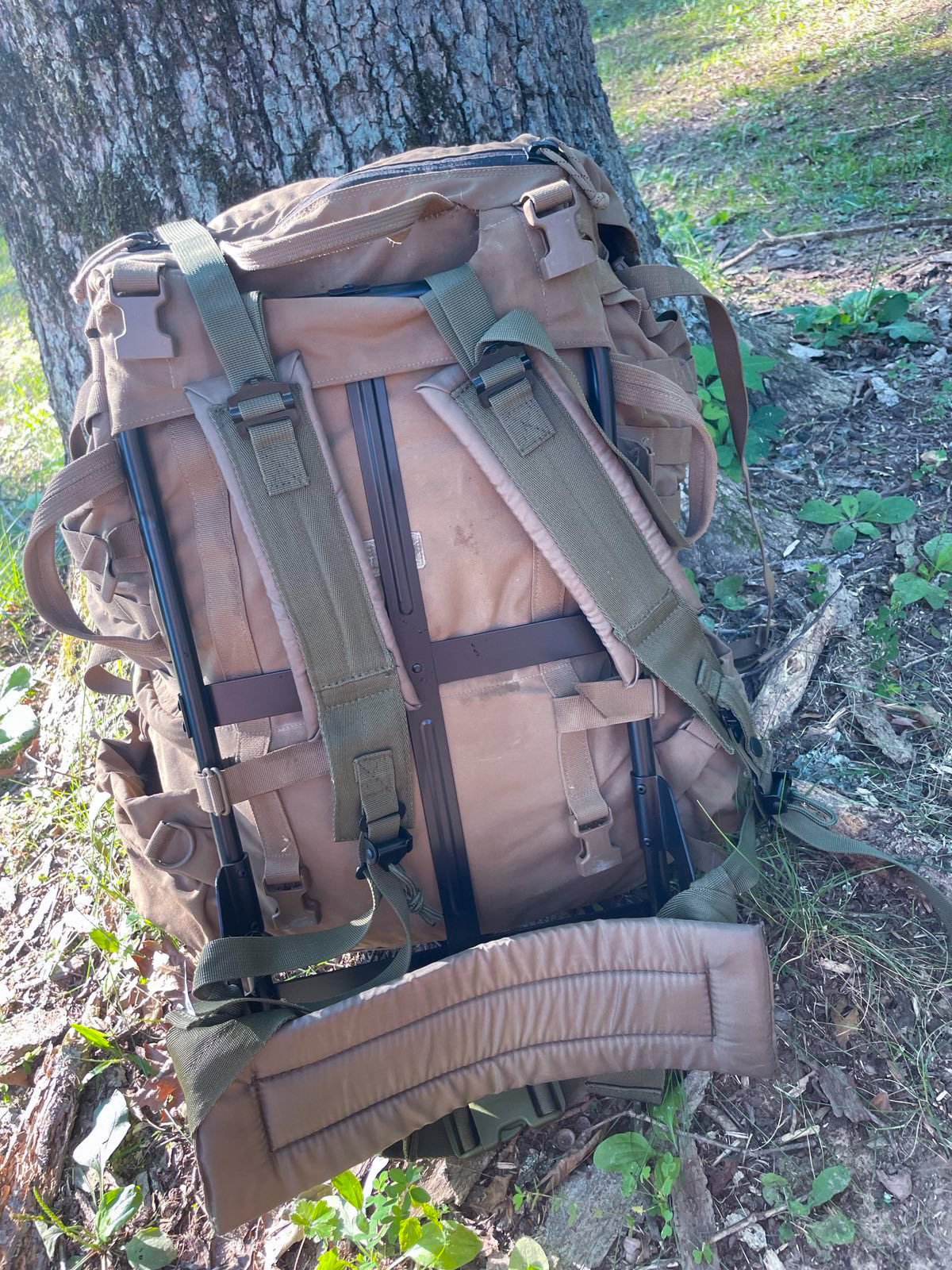 Alice Frankenstein - Grey Squirrel Solutions